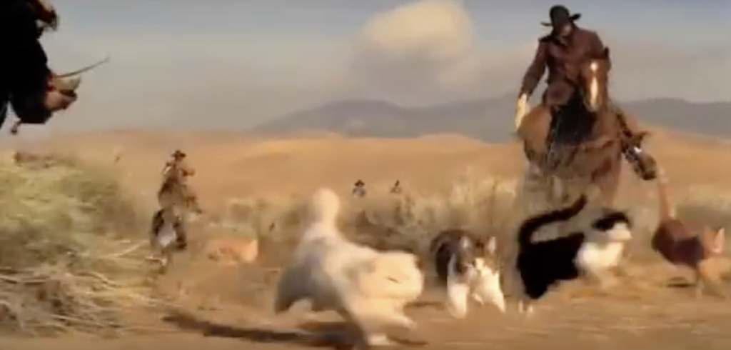 Herding Cats Are You Wisdom Enough